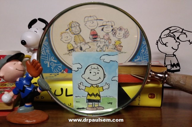 Schulz and Success – Dr. Sem's Blog